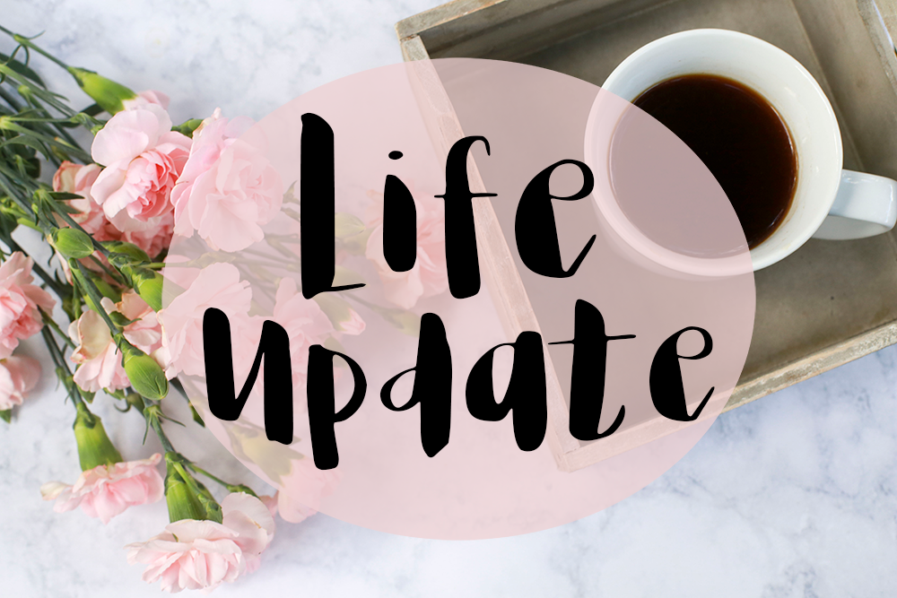 Life update - Mercedes Chloe